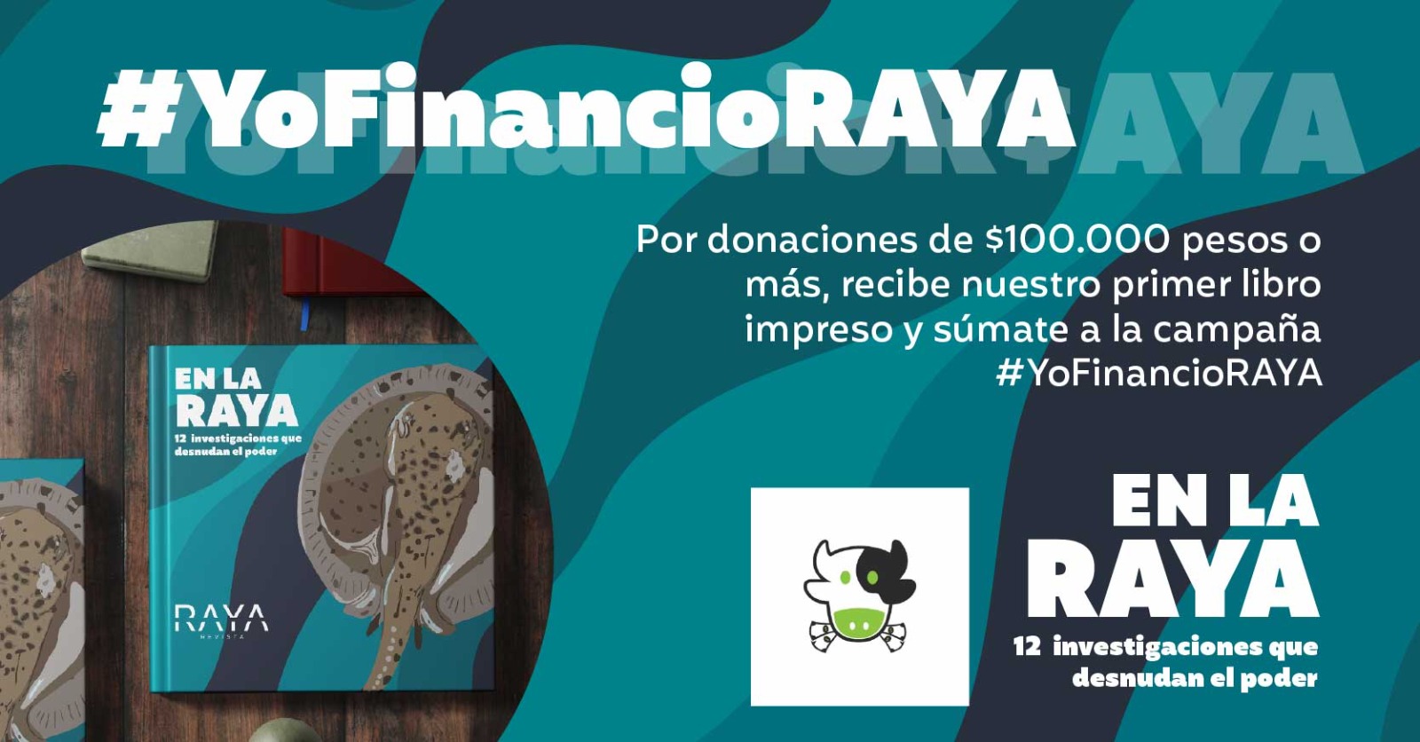 EN LA RAYA: 12 Investigaciones que desnudan el Poder - Revista RAYA